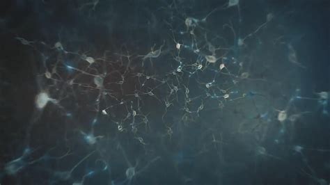 Neuron Synapses 3d Animation Medical Illustration Stock Footage Video