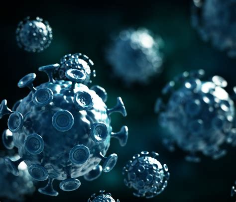 Actualización De Brotes De Influenza Aviar H5n1 En Las Américas