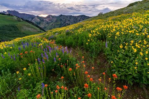 Best Natural Landscapes In The World At Megan Gerow Blog