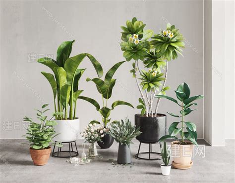 现代植物盆栽组合3d模型下载101075925 3d现代植物盆栽组合模型下载 3d现代植物盆栽组合max模型免费下载 建E室内设计网