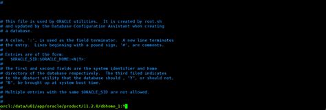 ️centos7下安装oracle11gr2 Java小白的搬砖路 博客园