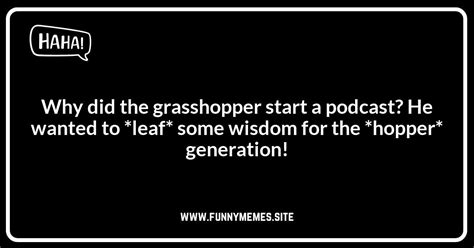 Grasshopper Jokes And Puns Hop Into Hilarious Fun — Funny Memes