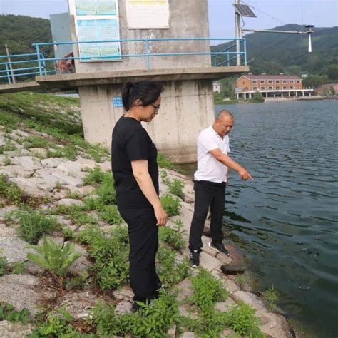 【防汛】江密峰镇创新举措确保全镇安全度汛水库雨情天气