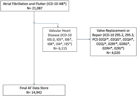 Racial And Sex Differences In Optimizing Anticoagulation Therapy For