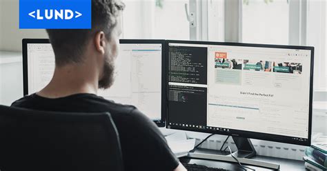 Milan Lund Full Stack Web Developer Solution Architect Consultant