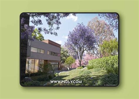 Maxtree Plant Models Vol107 3d Model