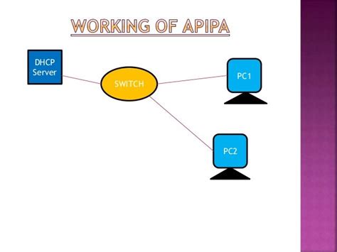 Apipa