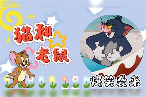 猫和老鼠：盘点剧中爆笑时刻，汤姆看到了什么，它居然惊掉了下巴