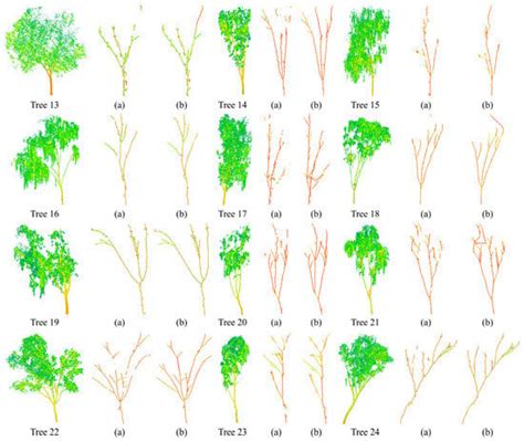 Remote Sensing Special Issue Applications Of Individual Tree