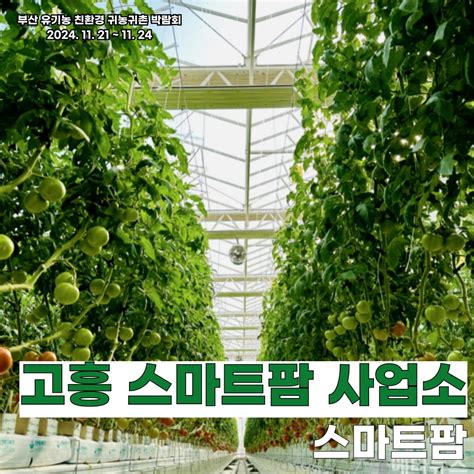 유기농•친환경•귀농귀촌박람회 📍고흥 스마트팜 사업소 부산 유기농친환경귀농귀촌 참가업체 작년에 직접 키운 멜론 100여