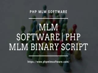 Ppt Binary Mlm Software Epixel Solutions Powerpoint Presentation