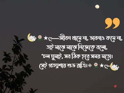 ৪৫০ শুভ রাত্রি ক্যাপশন Sms রোমান্টিক মেসেজ ও ছন্দ ২০২৫