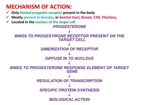 Estrogen And Progestin Female Sex Hormones Pptx