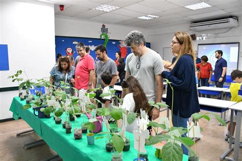 Iv Mostra De Ci Ncias Escola Alem Corcovado