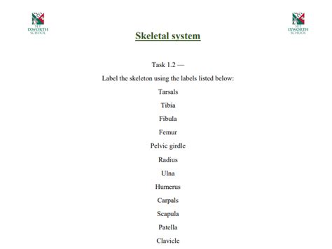 Practical Pe Work Booklet Teaching Resources