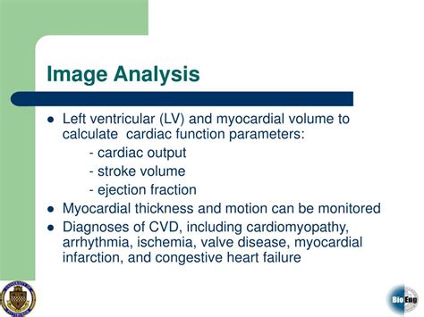 Ppt Gradient Oriented Boundary Profiles For Shape Analysis Using