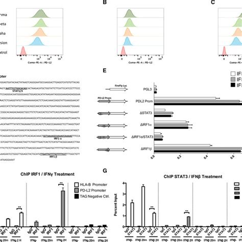 Induction Of Pd L1 By Interferon Alpha Beta And Gamma A C Flow