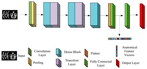 A Convolutional Neural Network and Graph Convolutional Network Based Framework for AD Classification