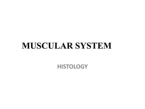 Ultrastructure Of Skeletal Muscle Pptx Biological Sciences Science