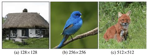 A Gentle Introduction To Biggan The Big Generative Adversarial Network