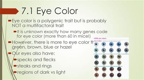 Eye Color Chart Ponasa