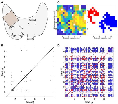 frontiers detection of spatio temporal recurrent patterns in