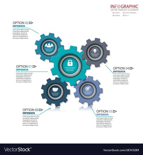 Abstract Element Infographics 5 Option Design Vector Image