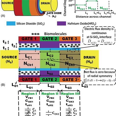 A 3d Cylindrical Structure And B 2d Cross Sectional View Of Download Scientific Diagram