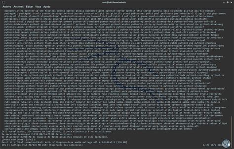 Actualizar Kali Linux a la Última Versión 2022 Solvetic