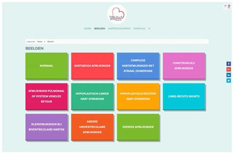 Portfolio ★ Fetal Heart Academy ★ Boris Hoekmeijer Webdesign