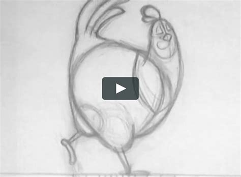 A Chicken Walk Cycle Animation Walk Cycle Walking Animation