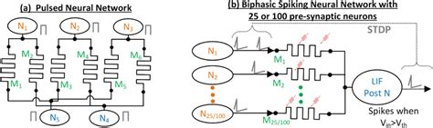 Memristor Based Electronic SNNs Used In This Study A Three