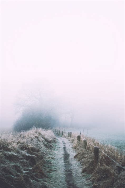 Misty Path By Henrik Hansen Tumbex