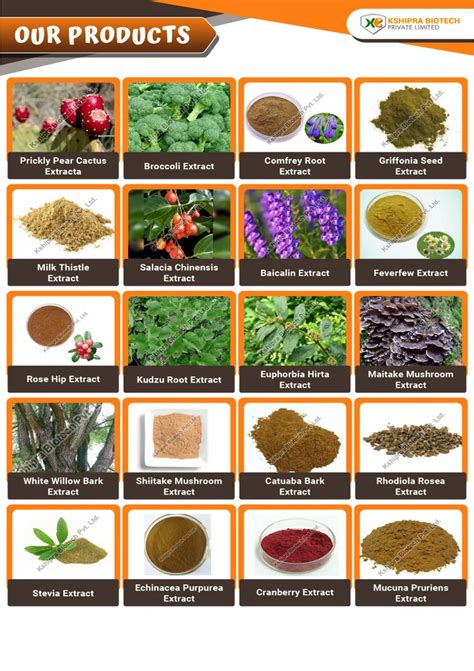 Kshipra Biotech Pvt Ltd Ficus Glomerata Extract Powder 101