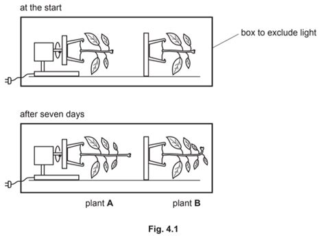 Igcse Biology 0610 145 Tropic Responses Igcse Style Questions Paper 4