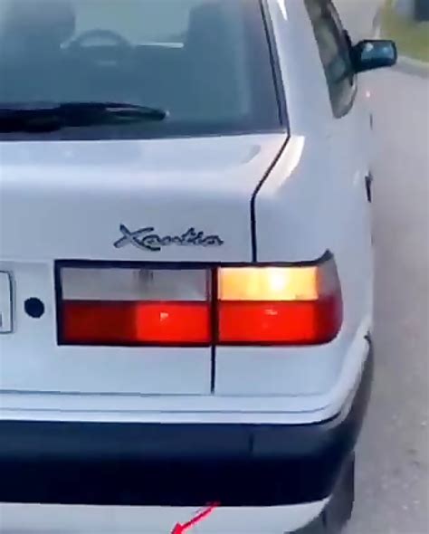 شوتی سوار زانتیا