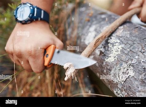 Camping Man Knife And Cut Wood Tree Branch And Sharp Stick For