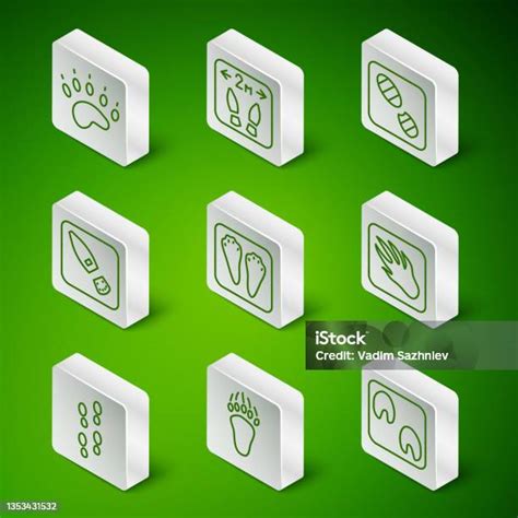 세트 라인 말 발 발자국 곰 토끼와 토끼 인간의 발자국 신발 안전한 거리 악어 악어 아이콘 벡터 3차원 형태에 대한 스톡 벡터 아트 및 기타 이미지 Istock