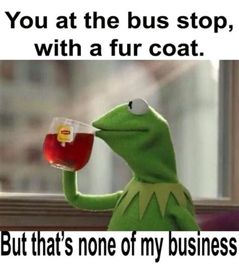 None Of My Business Funny Kermit Quotes QuotesGram