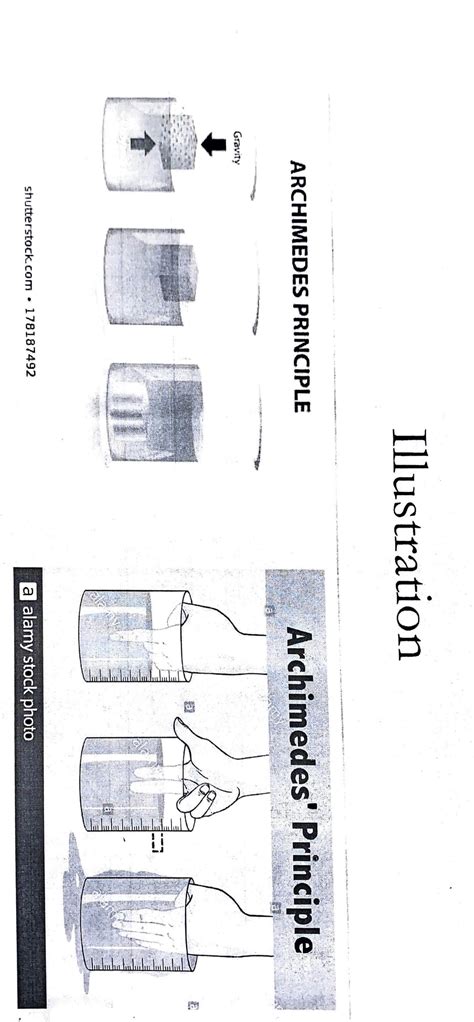 SOLUTION Core Physics Notes On Relative Density Studypool
