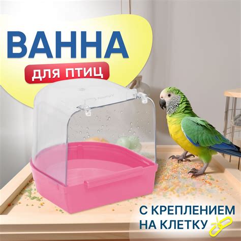 Купалка для птиц купить на OZON по низкой цене (1798025330)