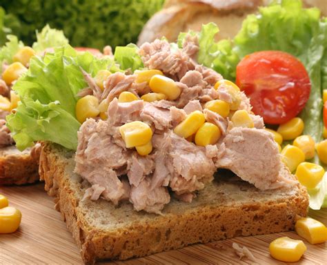 Mengandung Banyak Nutrisi Ini Dia Manfaat Ikan Tuna