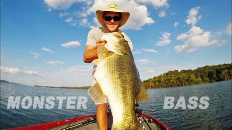Secrets To Catch Monster Bass In The Summer To Fall Transition Youtube