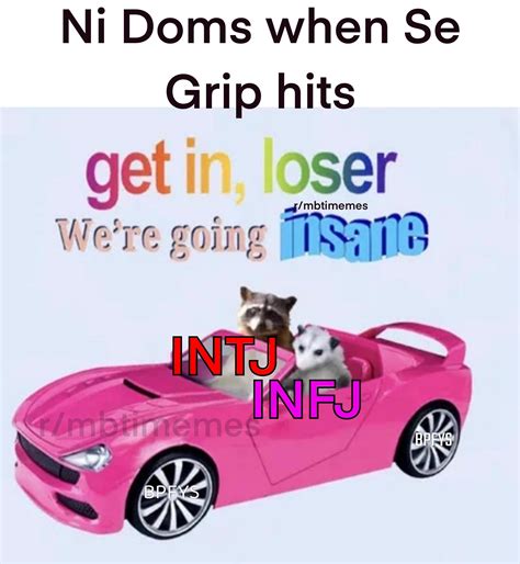 Se Grip INTJ INFJ Need ALL The Extroverted Sensing Experiences R