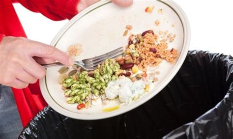 Estimated 931 Million Tonnes Of Food Wasted Globally In 2019 United