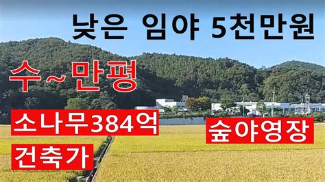5천만원 수~만평 경북 싼임야 보전관리포함 건축가 자연인 전원생활 숲야영장479억 숲팬션 숲힐링6차산업 숲가치395억 방목 산분장 땅과함께새희망을경매임야 공매임야 나도