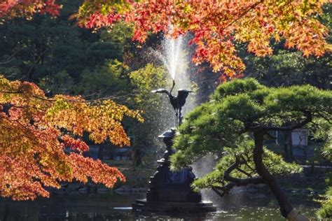 東京日比谷公園の紅葉 一緒に立ち寄りたい周辺のおすすめグルメ ヒトサラマガジン