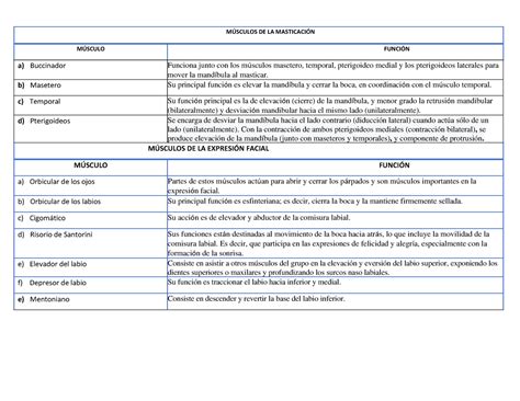 Músculos DE LA Masticación MÚSCULOS DE LA MASTICACIÓN MÚSCULO FUNCIÓN