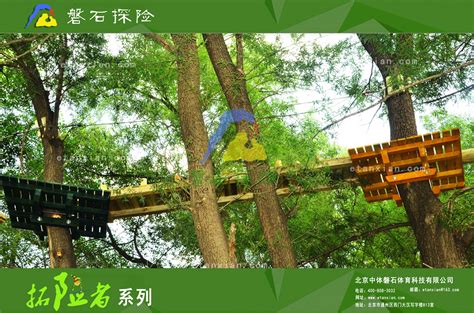 丛林穿越儿童拓展飞越丛林树上探险 磐石探险冒险树