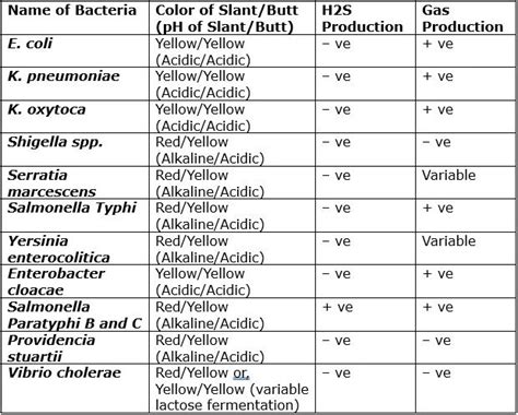 Tsia Test Results